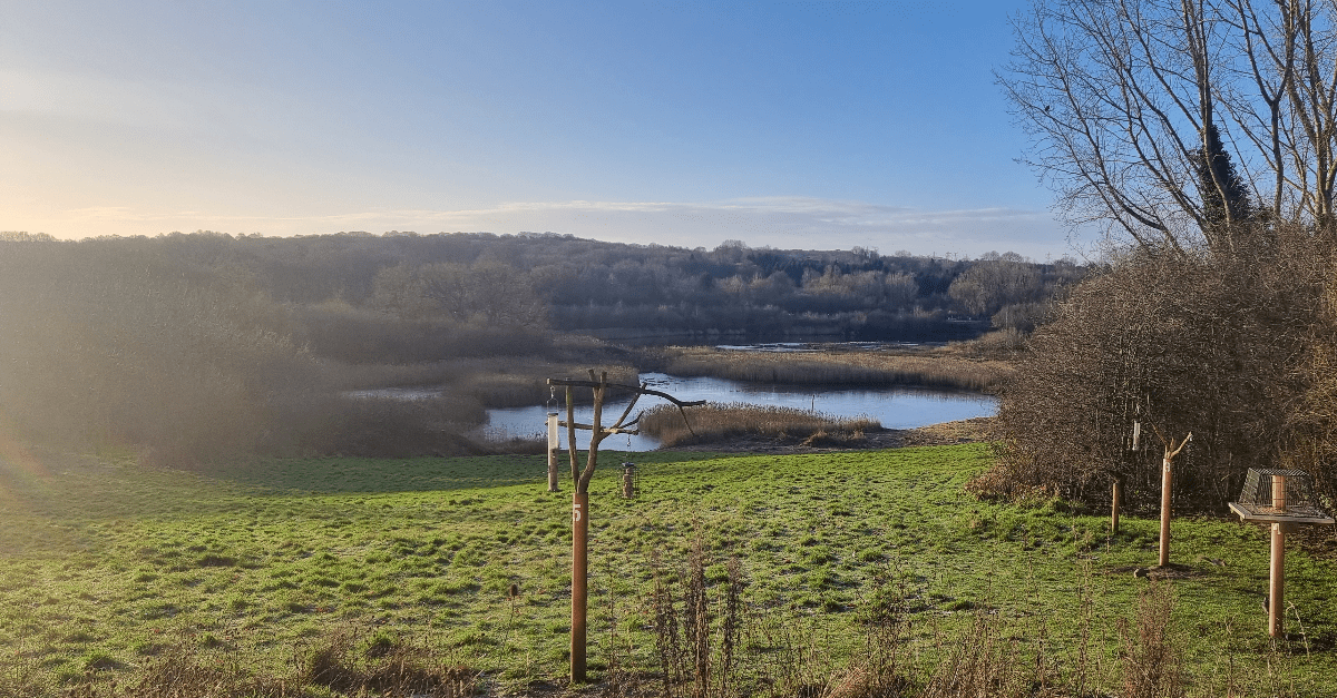Birdwatching for Beginners - monthly guided walk at RSPB San