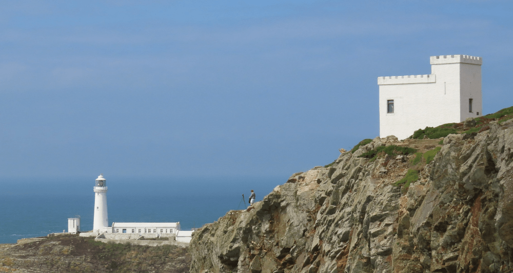 Wildlife Walk at RSPB South Stack
