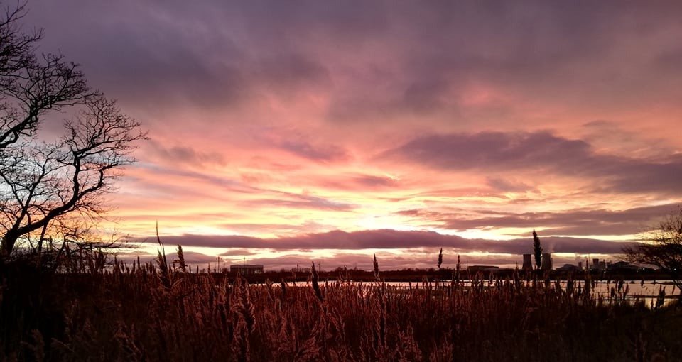 Writing Workshop with Bob Beagrie