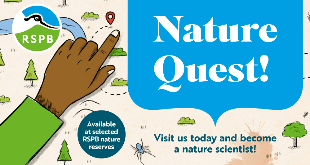 Nature Quest at RSPB South Stack