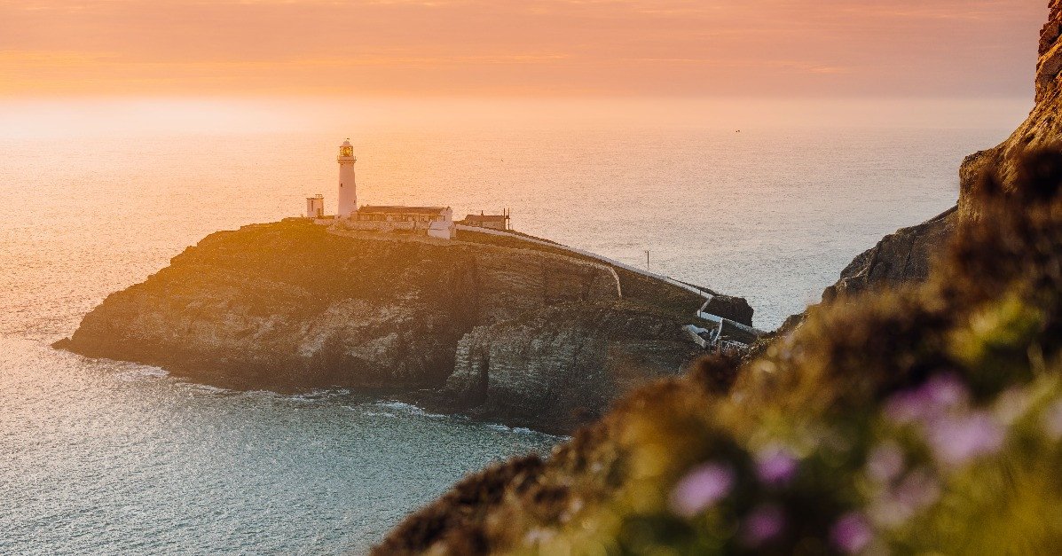 Hire a Guide at RSPB South Stack