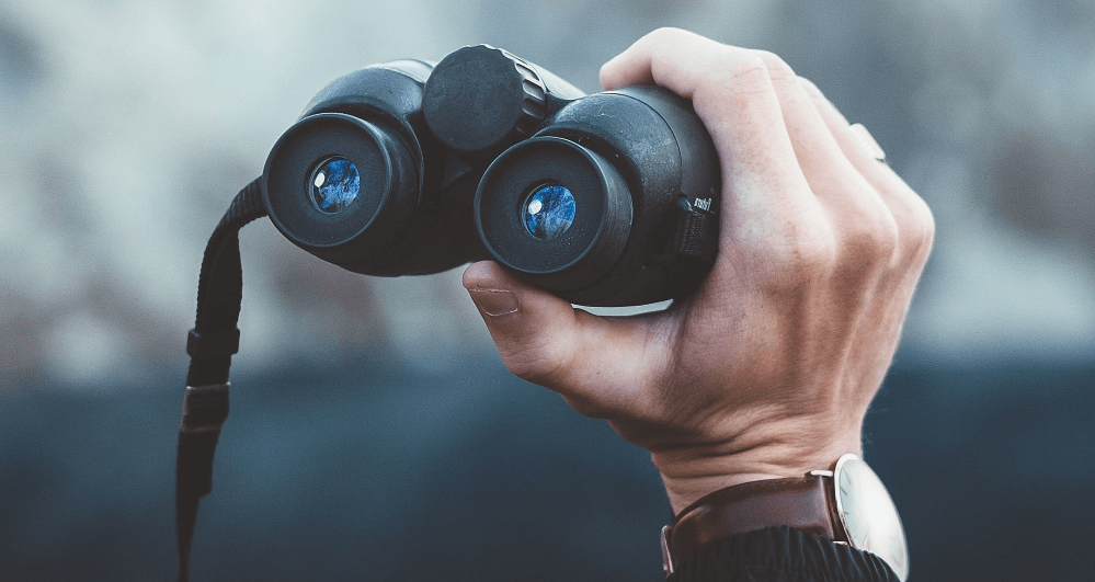 Spring Guided walk at RSPB Dungeness