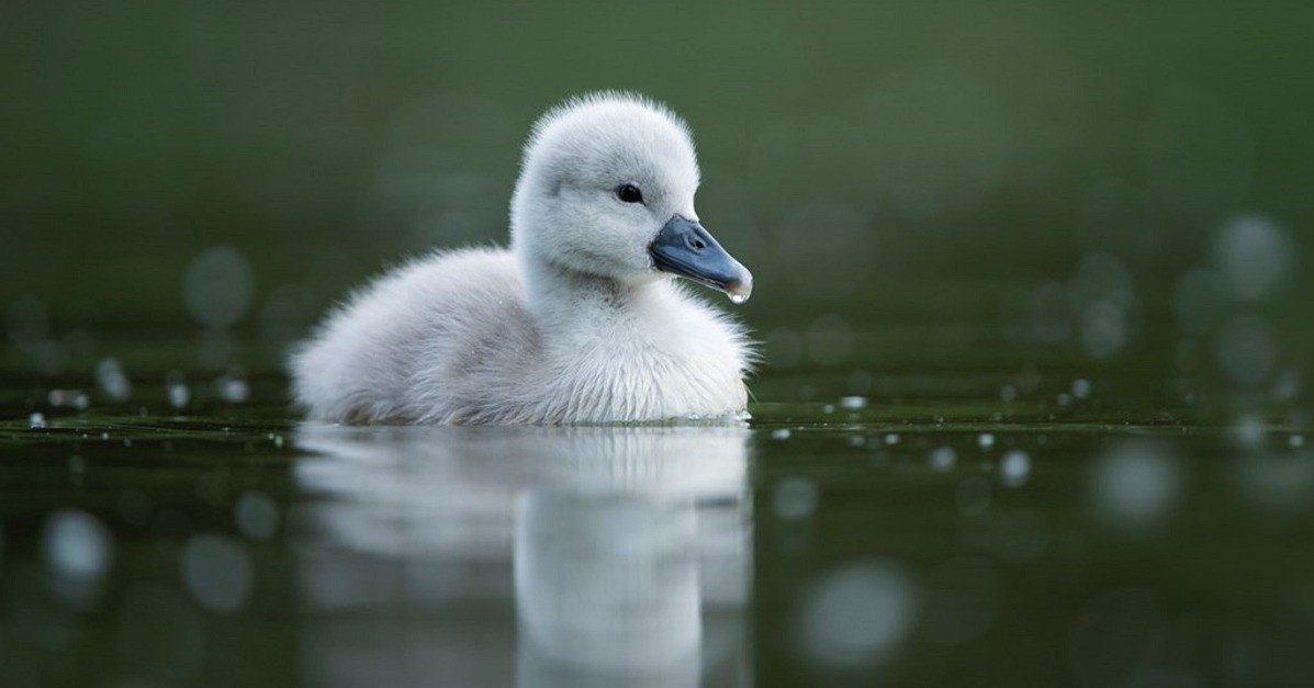 Happy families - self-led activity for families