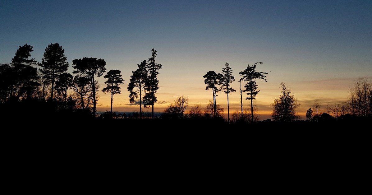 Night Wildlife Guided Walk with Supper