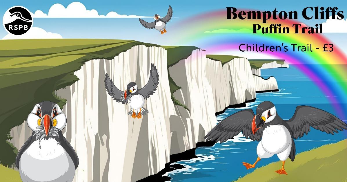 Puffin Trail at RSPB Bempton Cliffs