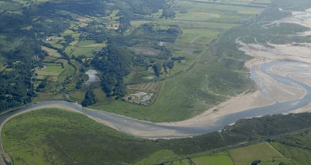 Hire A Guide RSPB Ynys-hir