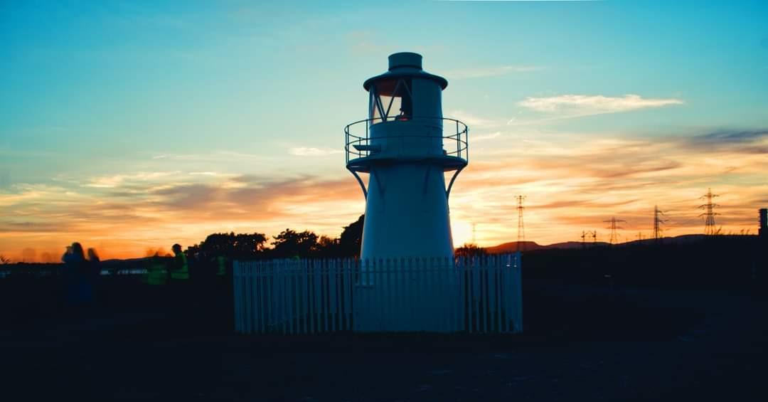 Summer Spectacular: Bat walk and Wildlife night at Newport