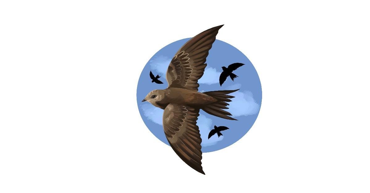 Wild Superpowers - self-led challenge for kids