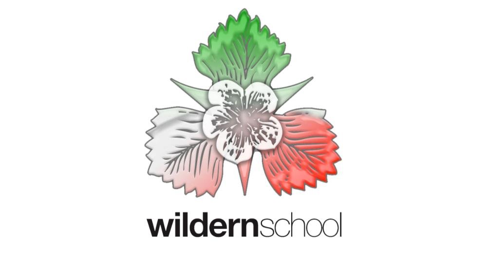 Wildern Summer Dance Showcase