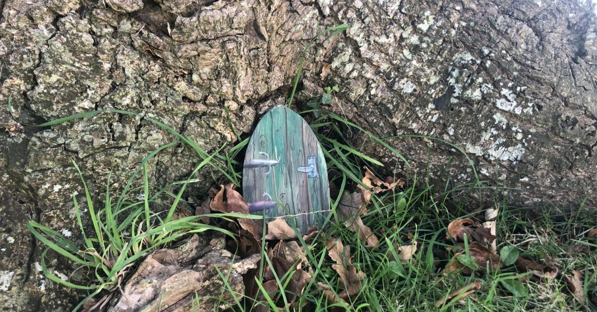 Crafts Session / Sesiwn Crefftau: RSPB South Stack/Ynys Lawd