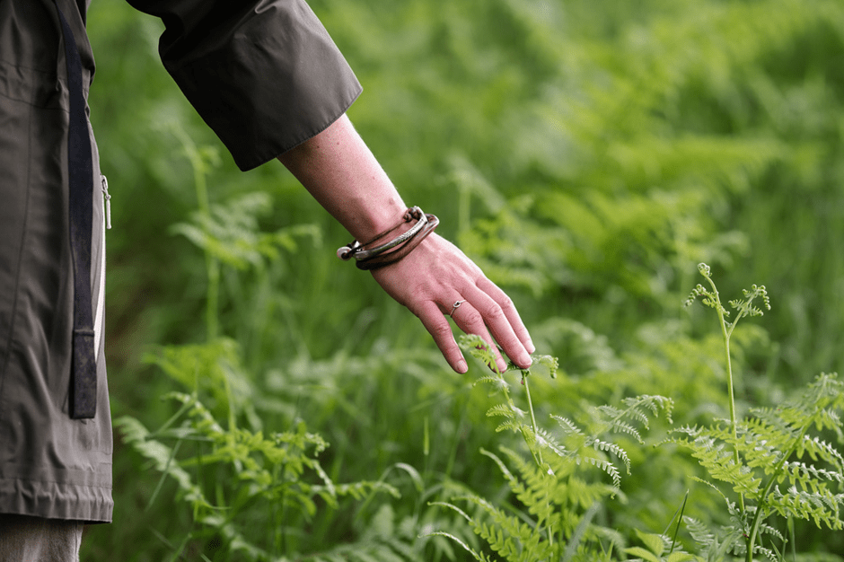 Guided Forest bathing & Meditation at Alderley Edge