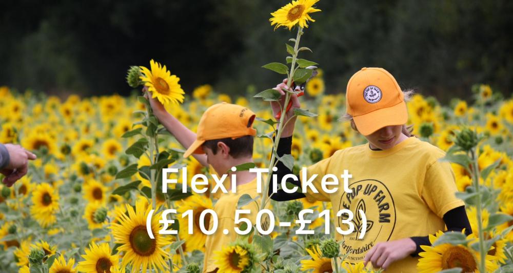 PYO Sunflower Festival - Flexi Ticket