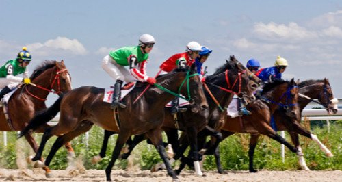 Teesport Area | Catterick Races Beer Festival