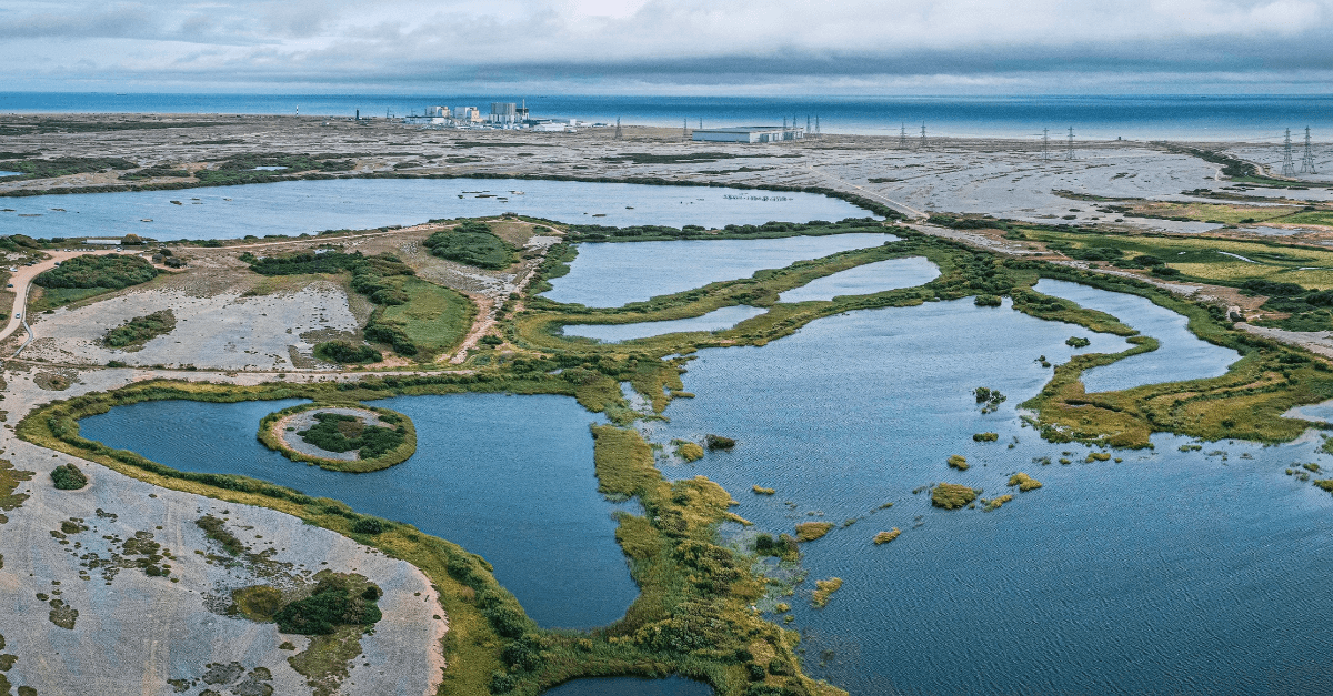 RSPB Dungeness events