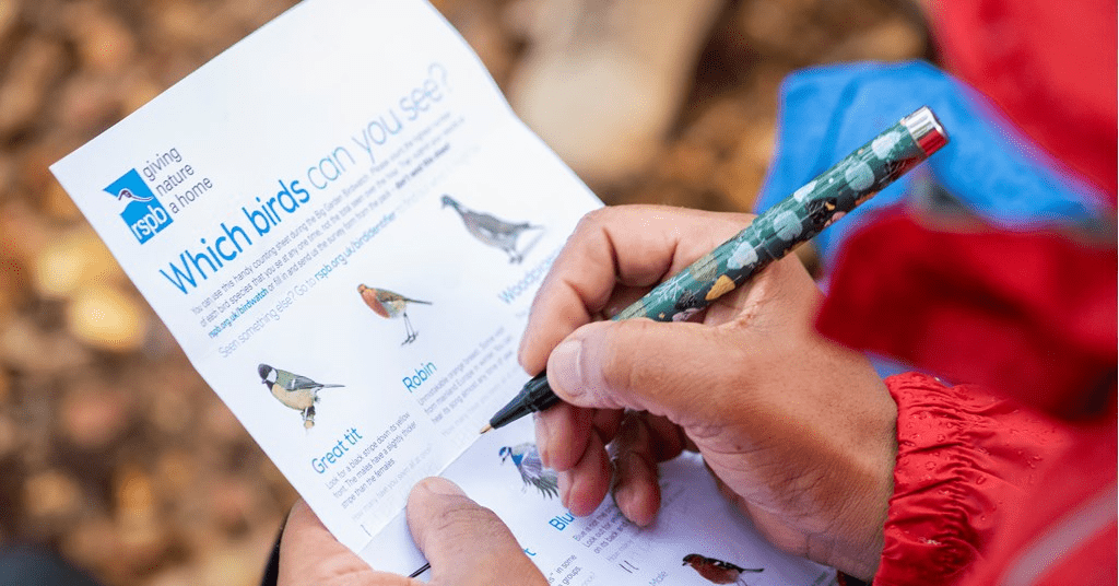 What's that bird? Bird identification workshop for beginners