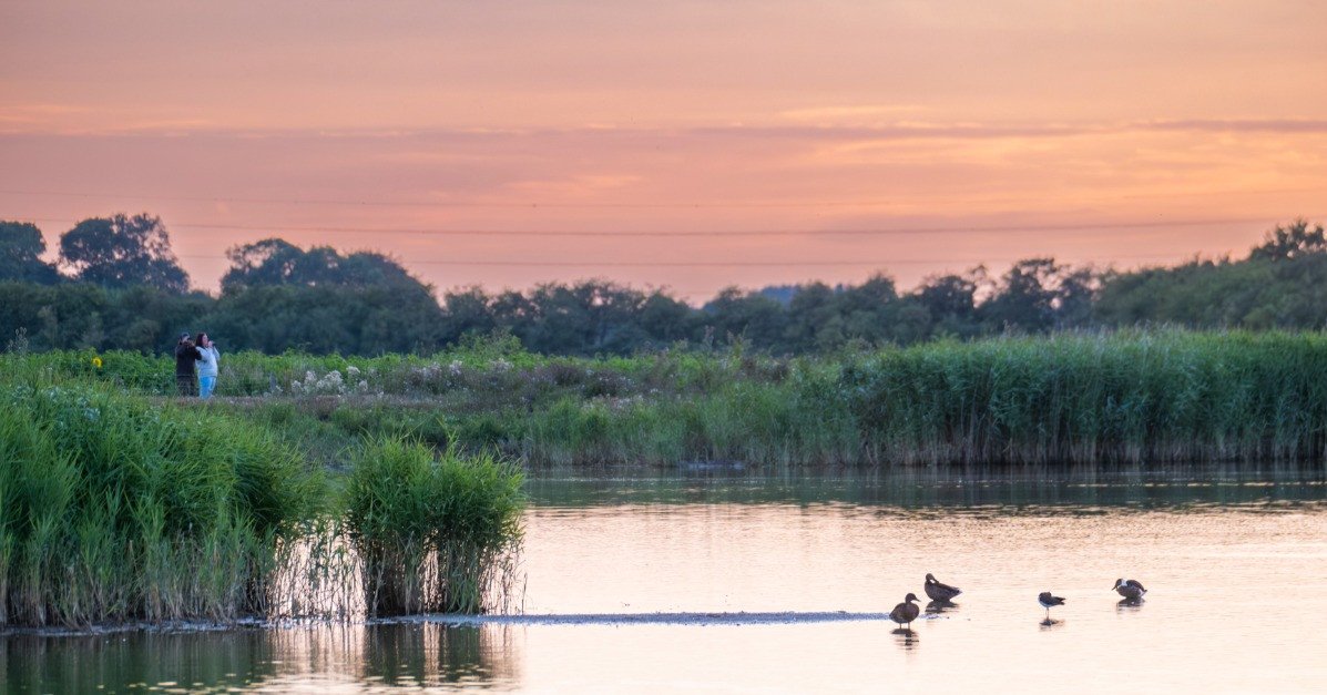 RSPB Frampton Marsh events