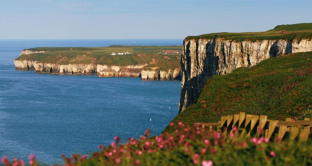 VIP Bempton Cliffs Experience