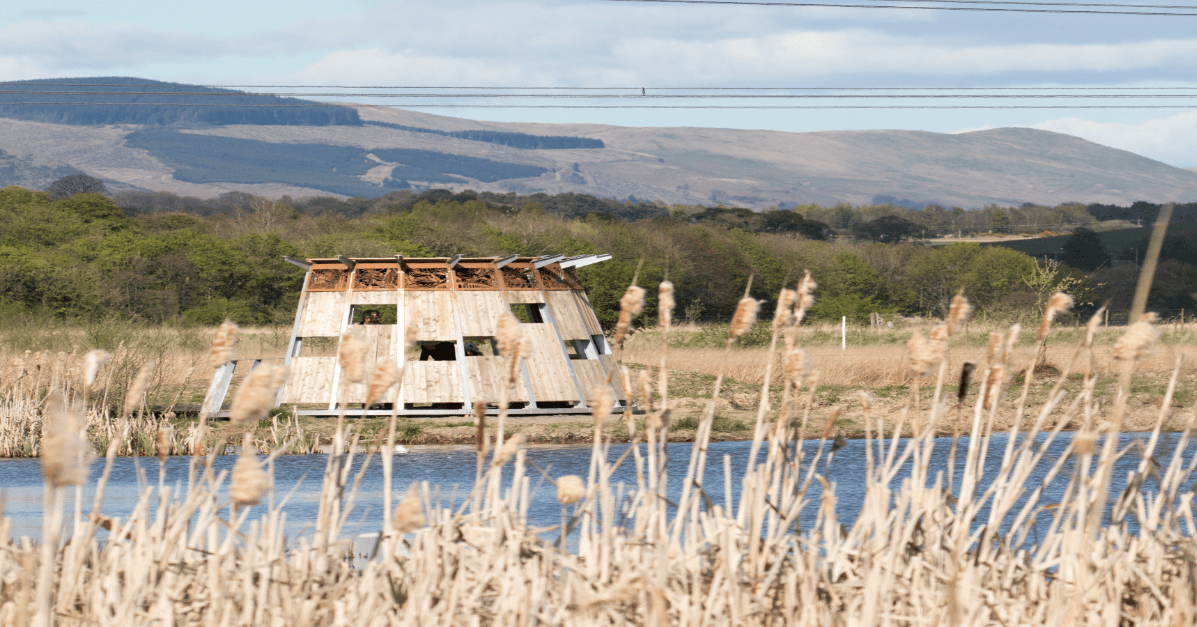 RSPB Skinflats events
