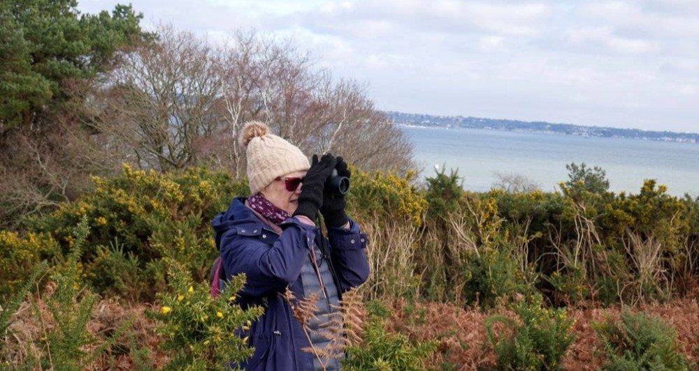 Birdwatching for Beginners - 3-week Courses