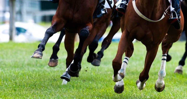 North Yorkshire | York Racecourse 2024 Horse Racing Fixtures