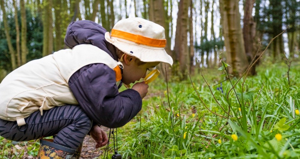 Spring Trail: Nest Quest at RSPB Scotland Loch Lomond