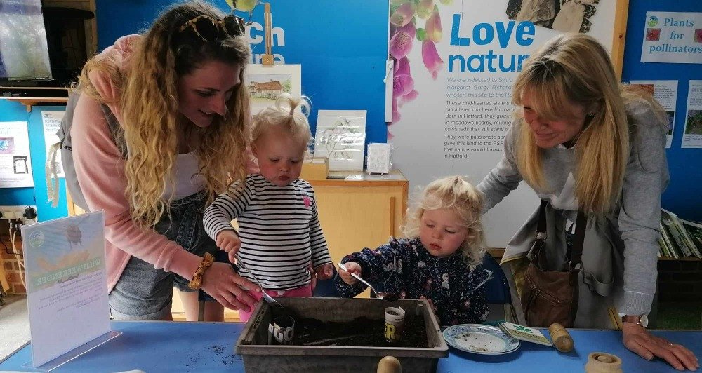 Signs of Spring at RSPB Flatford Wildlife Garden