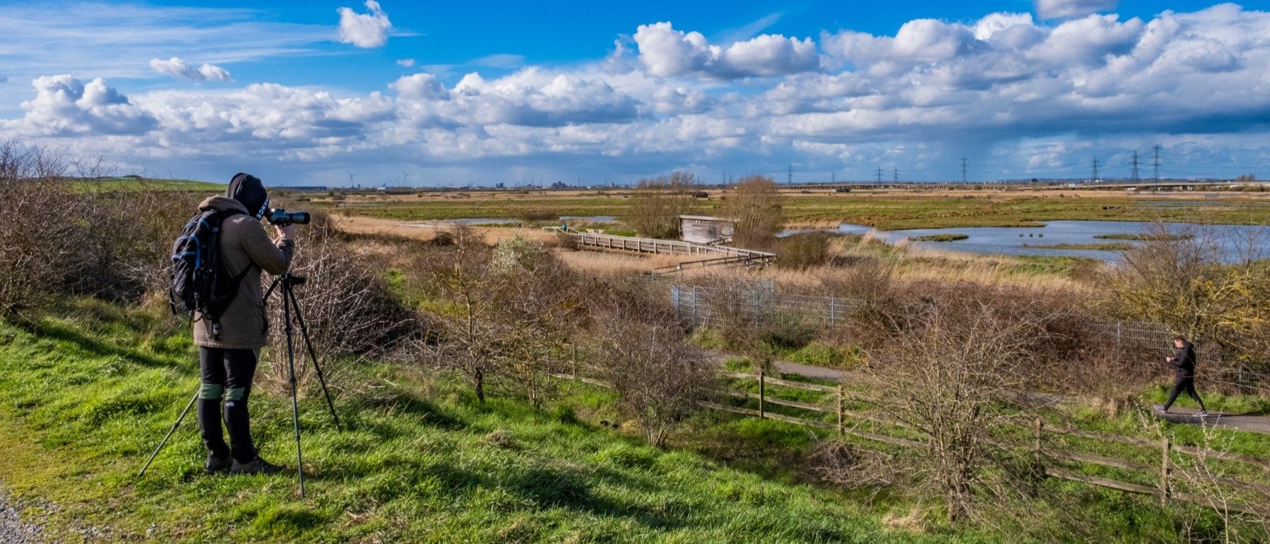 Wildlife Walk at RSPB Rainham Marshes