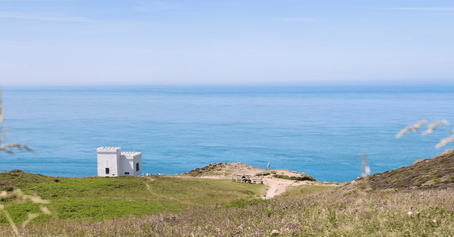 RSPB South Stack Cliffs events
