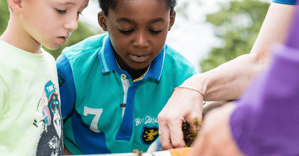 Guided Pond Dipping and Bug Hunting at RSPB Sandwell Valley