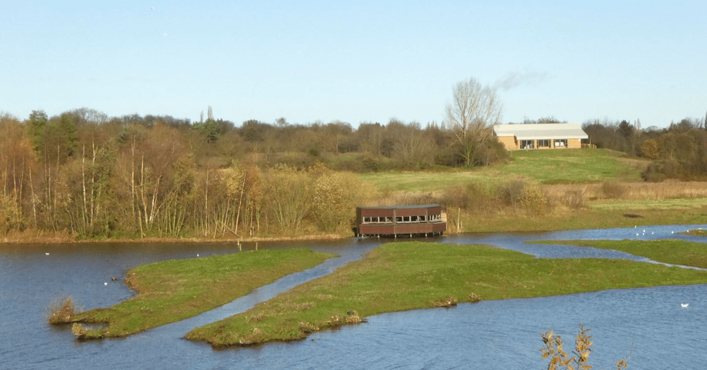 Summer evenings in the hide at RSPB Sandwell Valley