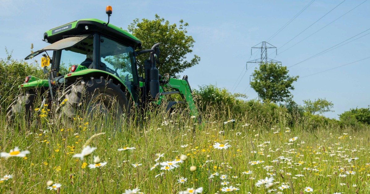 RSPB Hope Farm events