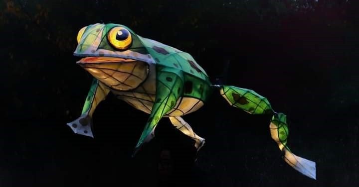 WildLights Lantern Trail at RSPB Old Moor nature reserve