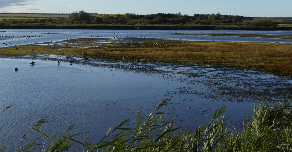 RSPB Titchwell Marsh events